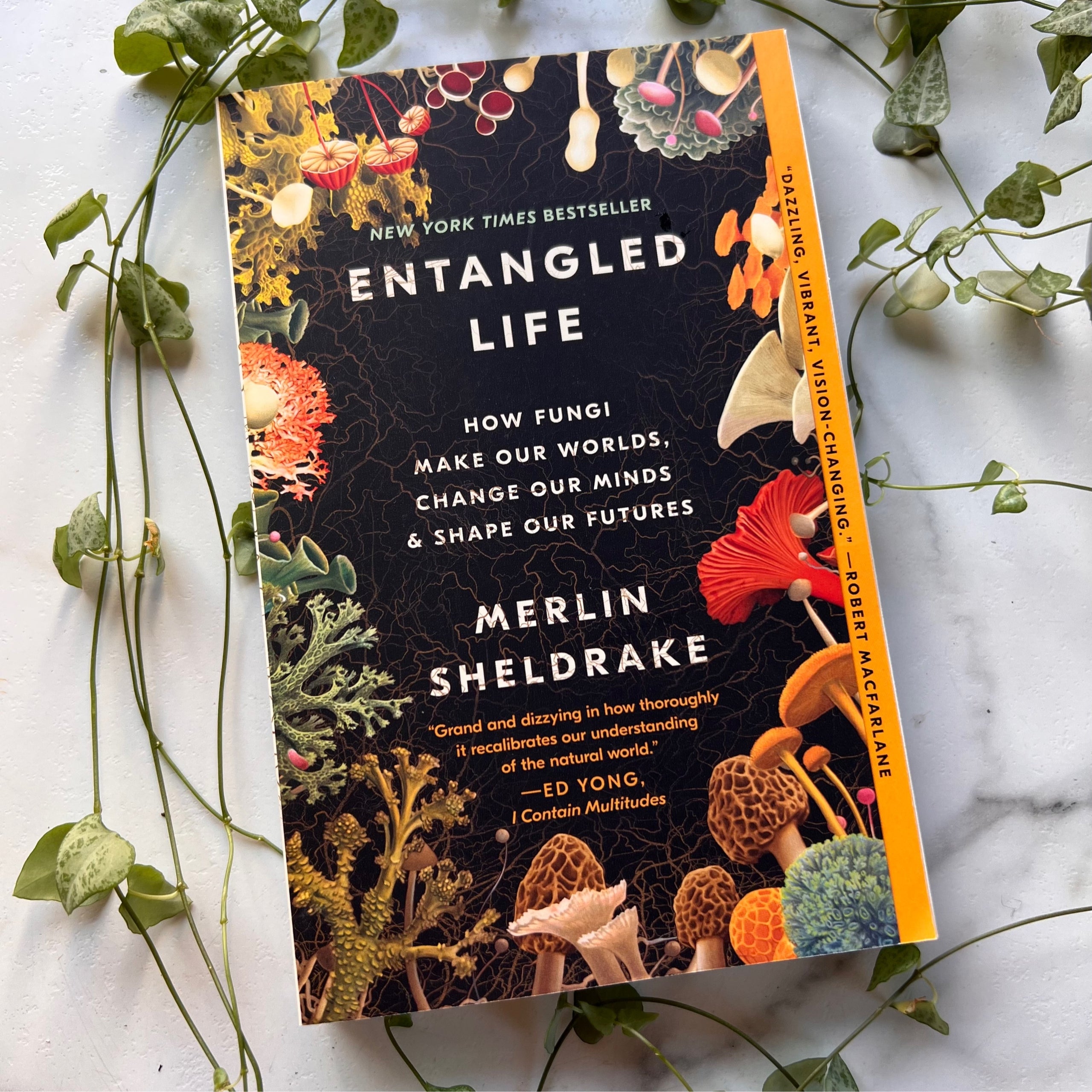 Entangled Life: How Fungi Make Our Worlds, Change Our Minds & Shape Our ...