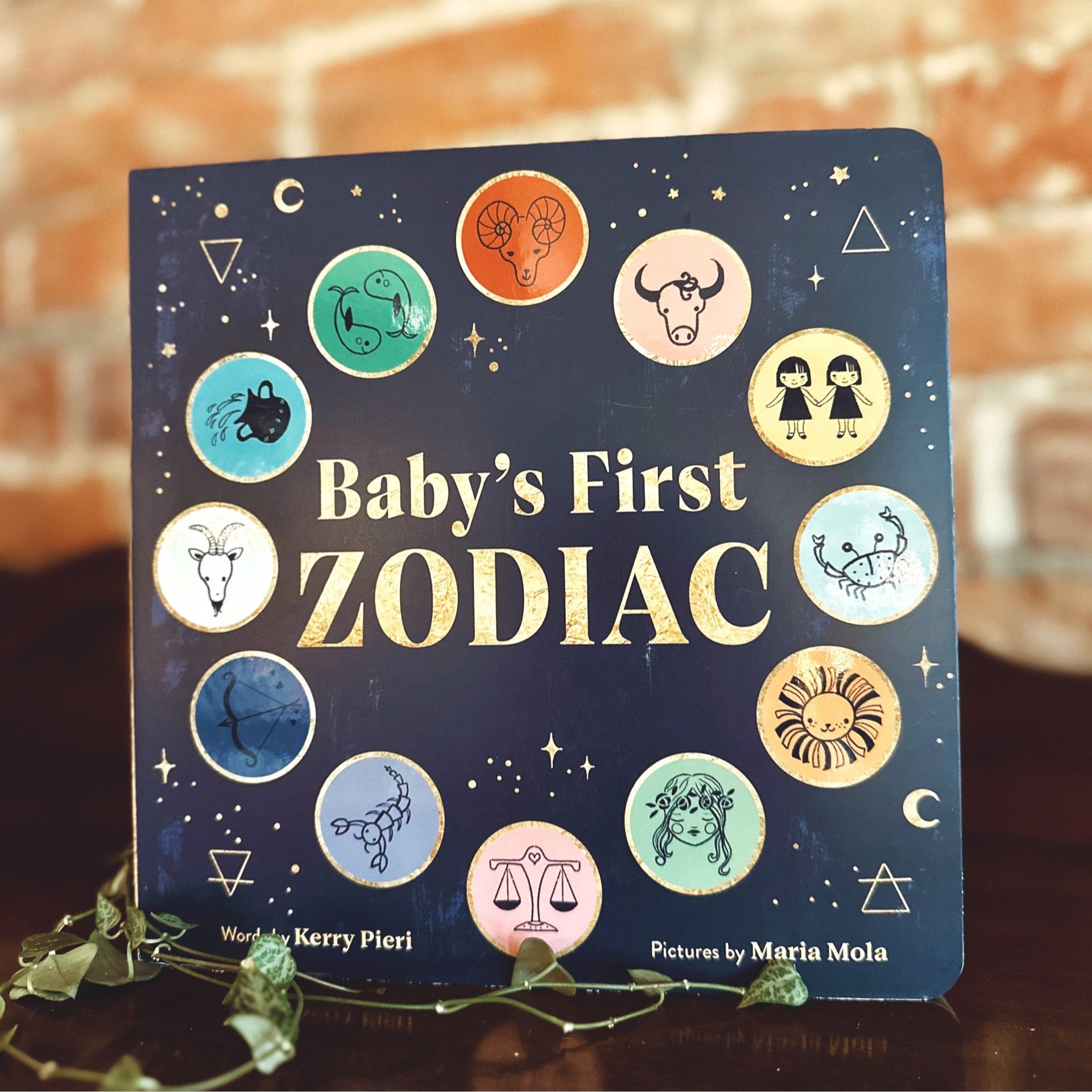 Baby's First Zodiac Board book | The Witch's Fix - Shop Online