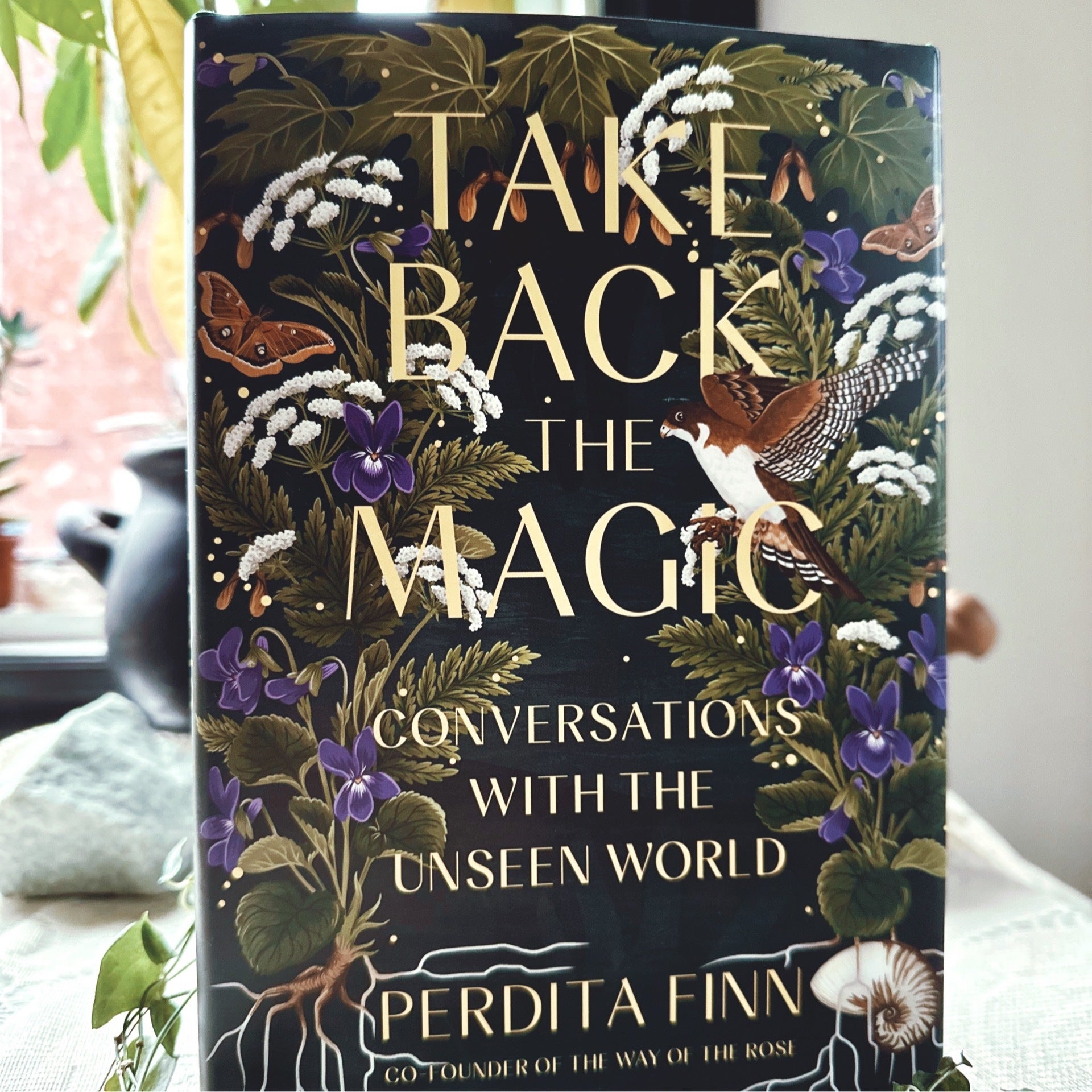 Take Back the Magic: Conversations with the Unseen World | The Witch's ...