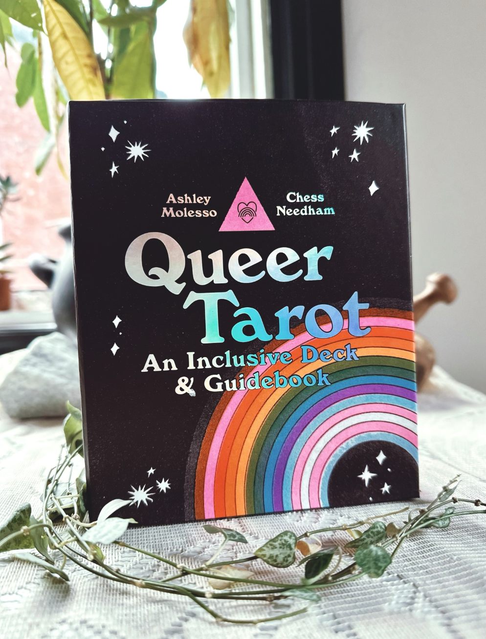 The Queer Tarot: An Inclusive Deck and Guidebook | The Witch's Fix ...