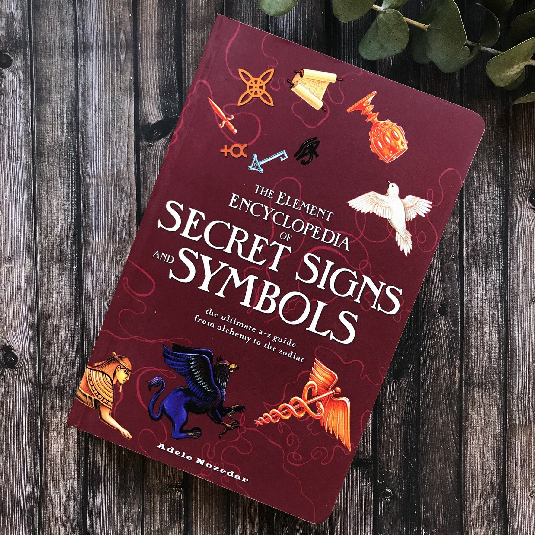 Element Encyclopedia of Secret Signs & Symbols | The Witch's Fix - Shop ...